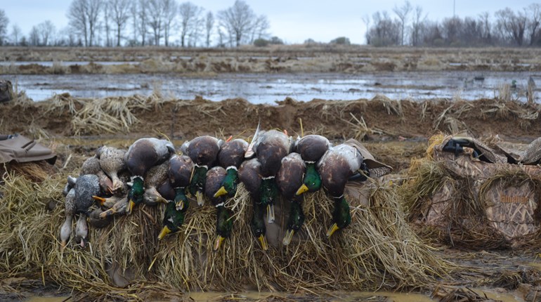 Duck Hunting Tip: Follow Their Patterns | An Official Journal Of The NRA