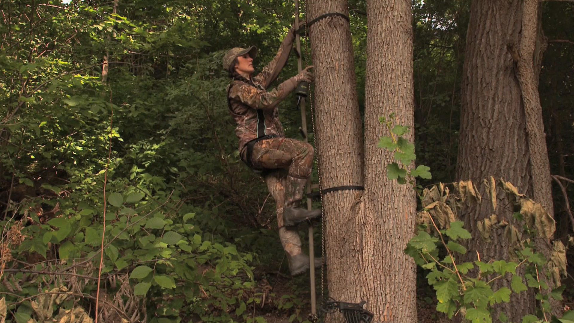 NRA Women | The Truth About Treestand Safety