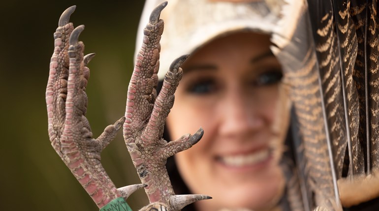 The Wonderful World of Winter Turkey Hunting | An Official Journal Of ...